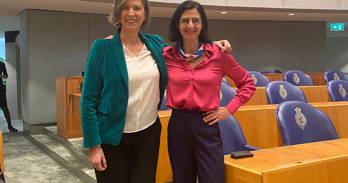 Factcheck: maakt één stem in het Europees Parlement echt verschil ...