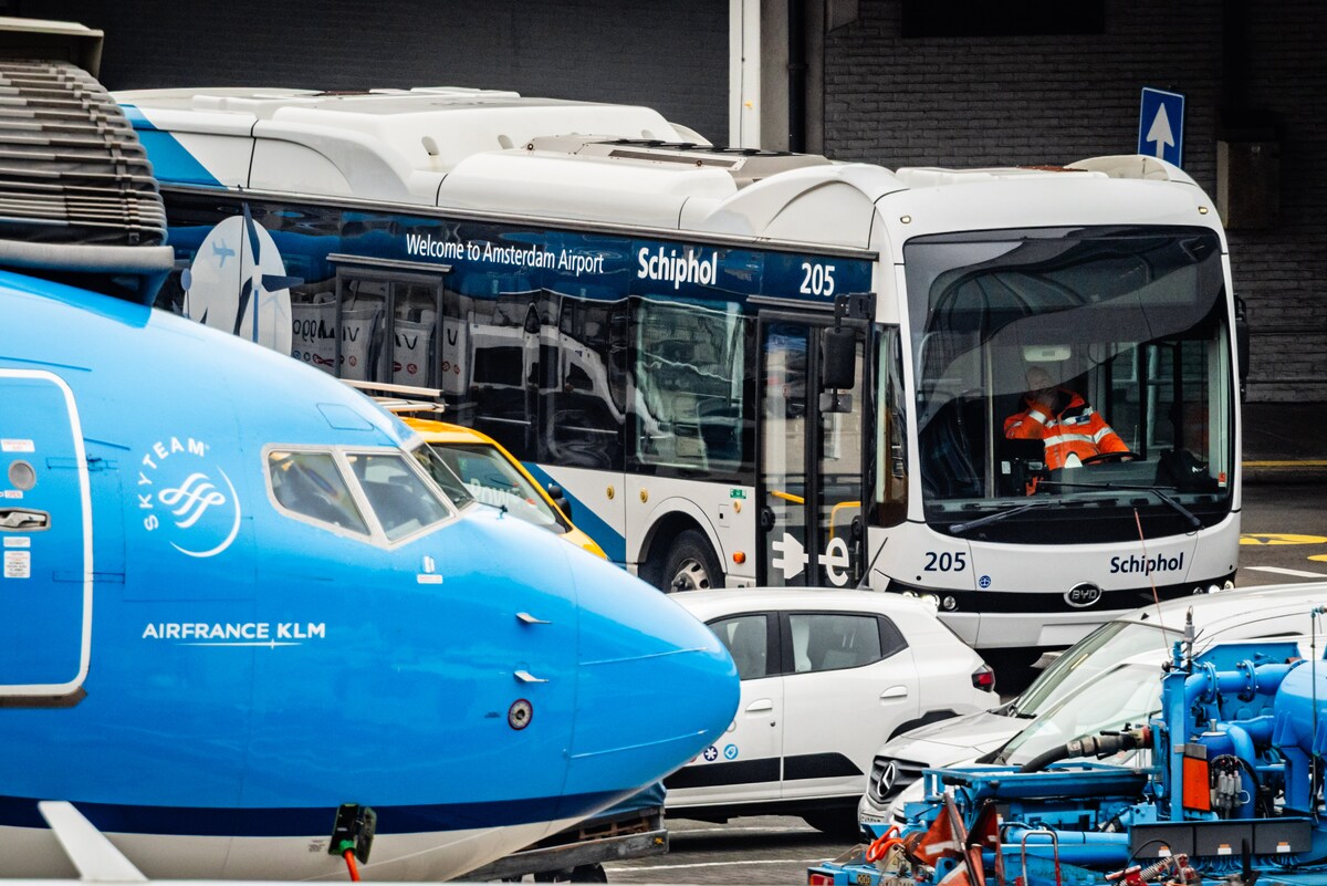 Veiligheidsrisico op Schiphol: ‘Chauffeur zonder papieren bestuurt nu ...