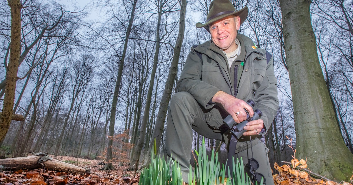 Stel je komt een wolf of zwijn tegen in het bos, wat dan? ‘Volg het ...