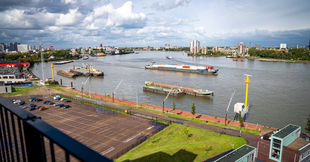 ‘Keuze voor brug was verkeerd!’ | Rotterdam | AD.nl