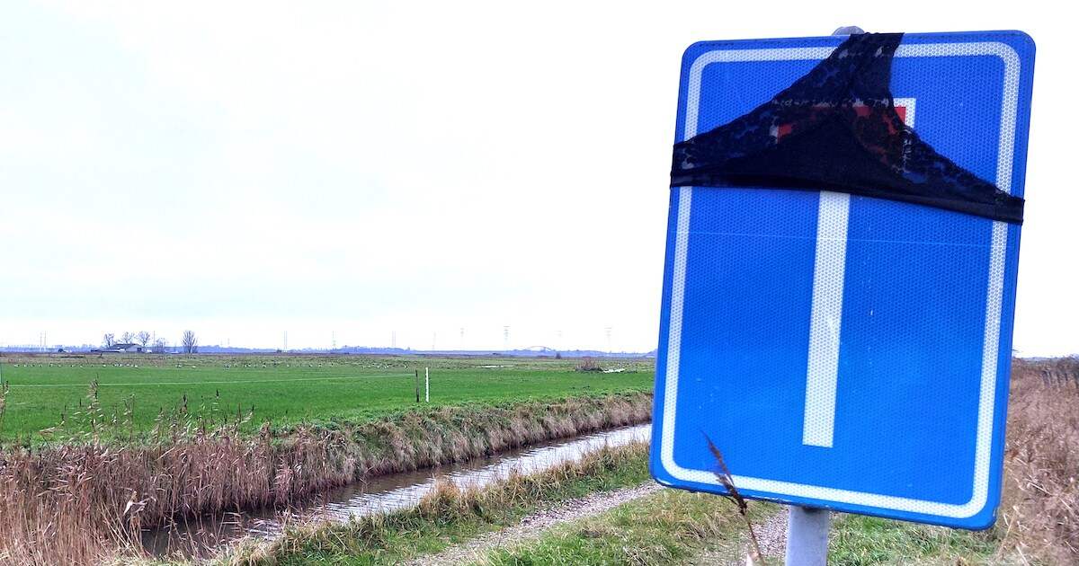 MIJN FOTO | Kruispunt of t-splitsing? | Reimerswaal | AD.nl