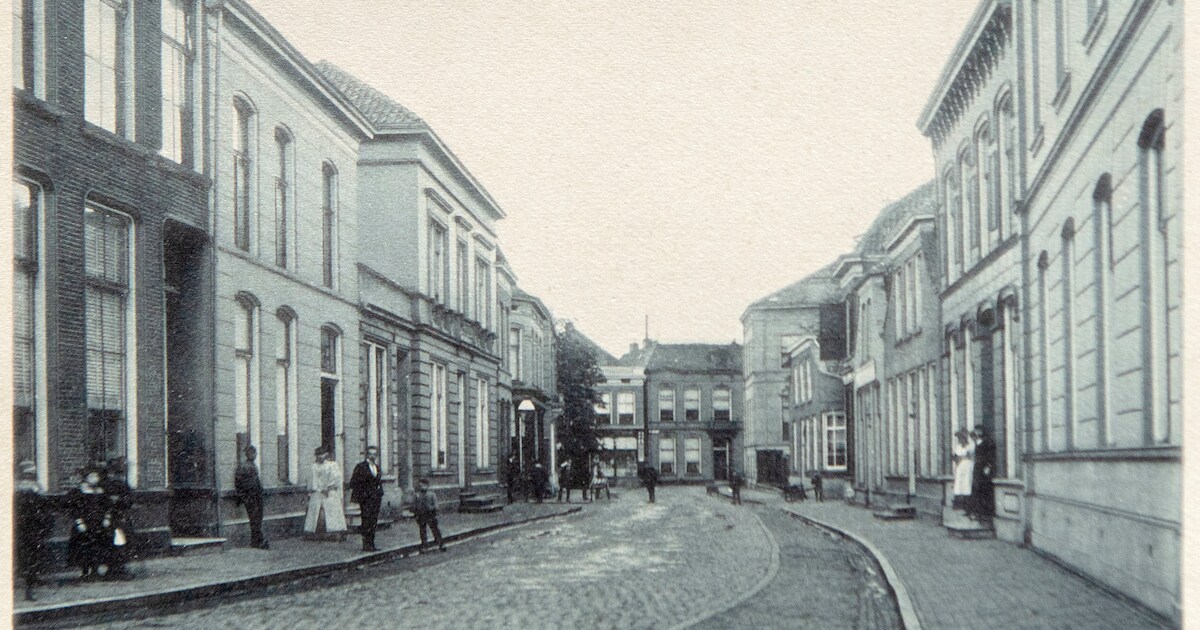 Enschede in 1897, deel 3: de familie Van Heek liet zomaar een villa in ...