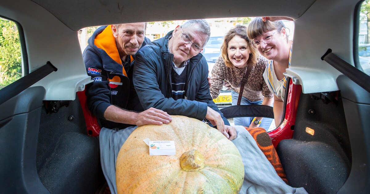 Pompoen van 70 kilo is de grootste van de Pompoenchallenge Den Haag ...
