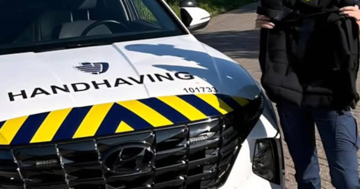 Bezorger zonder kenteken en rijbewijs: handhaving brengt pizza alsnog ...