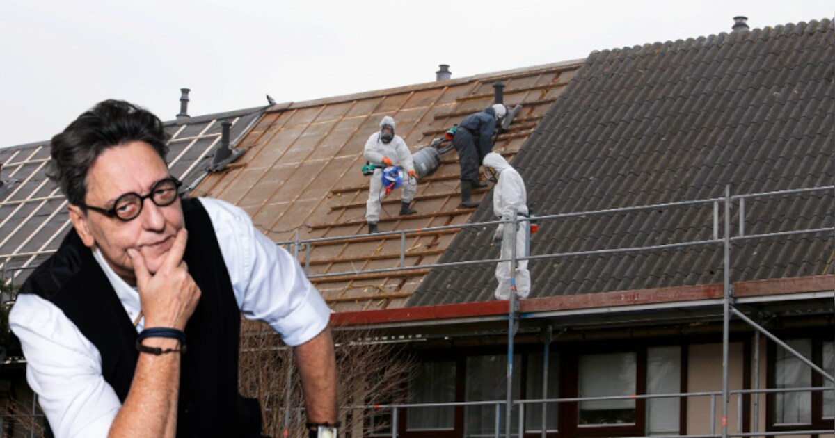 Zoek geen ruzie met hongerige grizzlyberen | Dordrecht | AD.nl