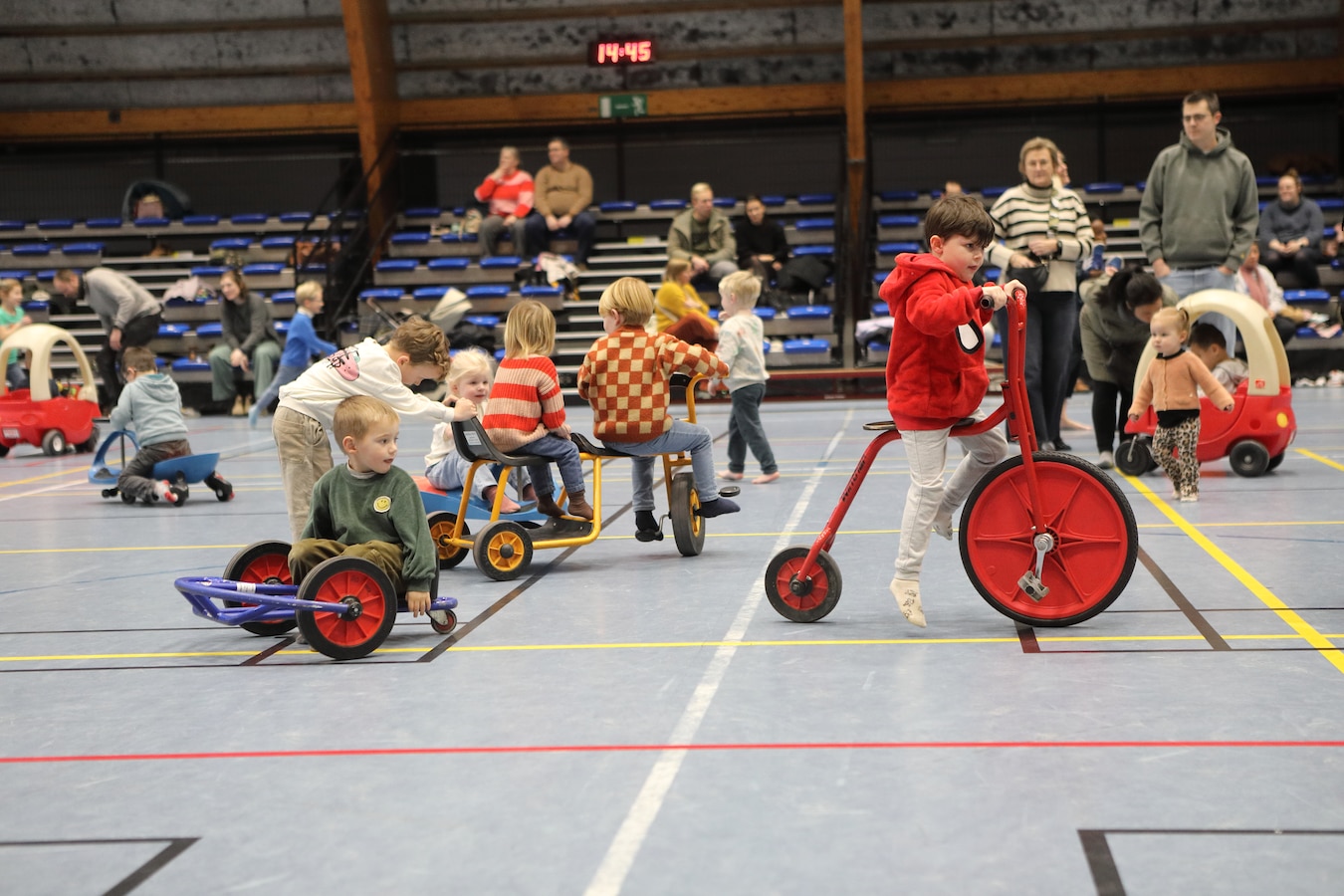 Wat te doen in de Kempen dit weekend? Van een vogelfeest over een ...