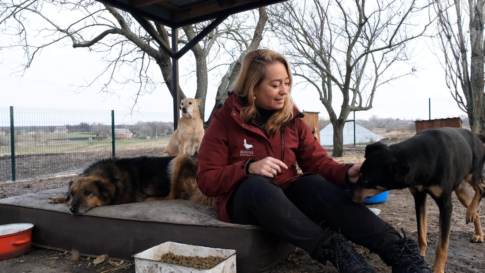 Karen gaat Oekraïense steden af om hondjes te redden: ‘Jullie komen ...