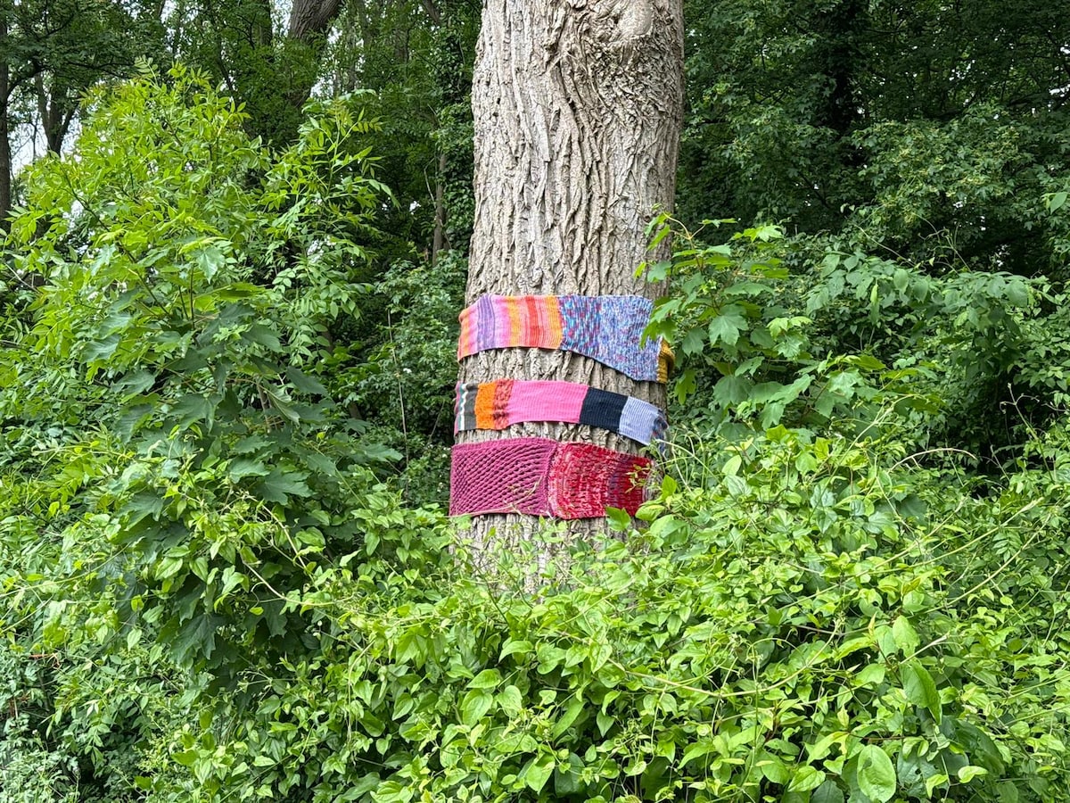 Havenkraan te koop, gebreide bomen en meer nieuwtjes van deze week ...