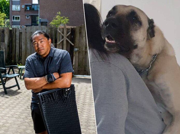 Hond van 70 kilo beet ander dier dood, baasje baalt: ‘Ben bang dat ze hem afmaken’ | Binnenland ...
