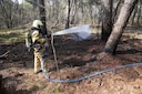 Natuurbrand in bossen bij Geffense Plas | Foto | AD.nl