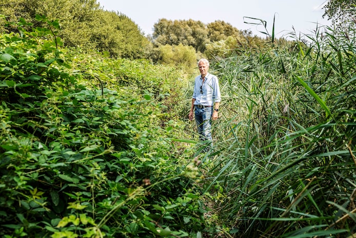 Wandelpaden Bieslandse Bos en Balijbos onbereikbaar door wildgroei, er ...