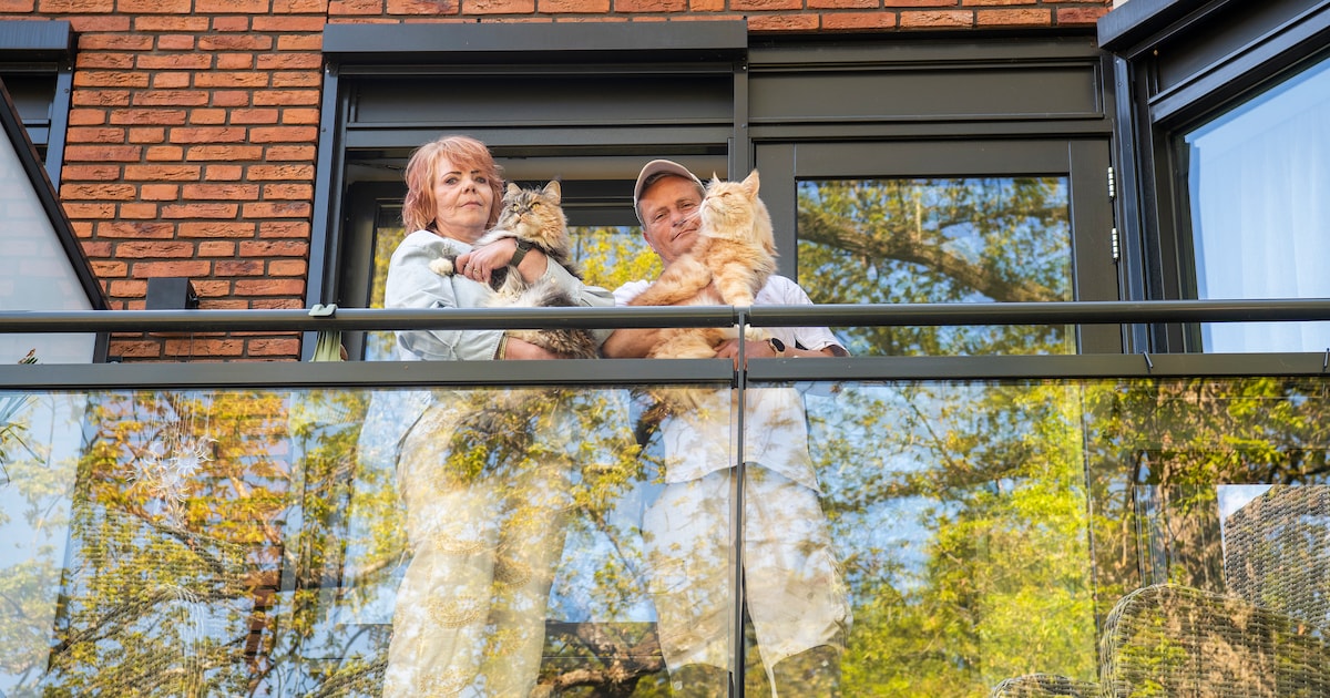 Roos en Eric betalen 1650 euro zodat hun katten tóch balkon op kunnen ...