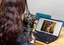 Vermiste kat dood teruggevonden in Vught: ‘Ongelooflijk waar mensen toe ...