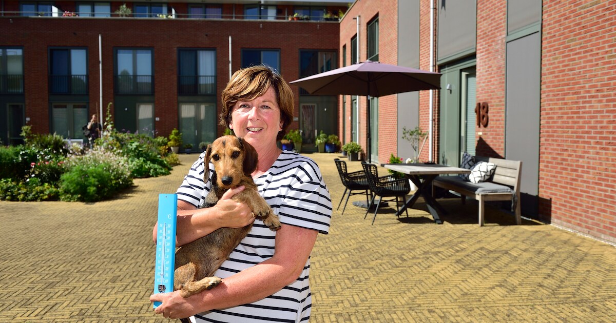 Net een oven; op deze plekken in Gouda is het nóg warmer en dit is de ...