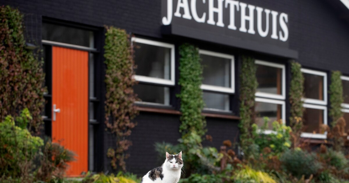Raalte moet 233 vluchtelingen opvangen, maar de vraag is hoe: stevige ...