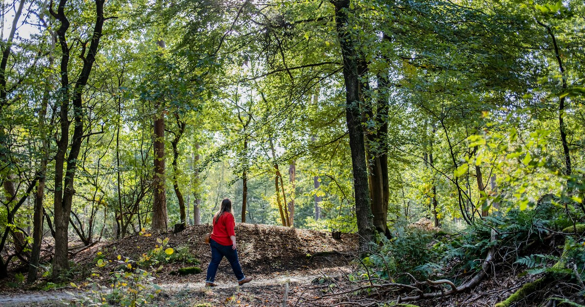Met het Bos van Oss moet de stad een nieuwe groene long krijgen, maar ...