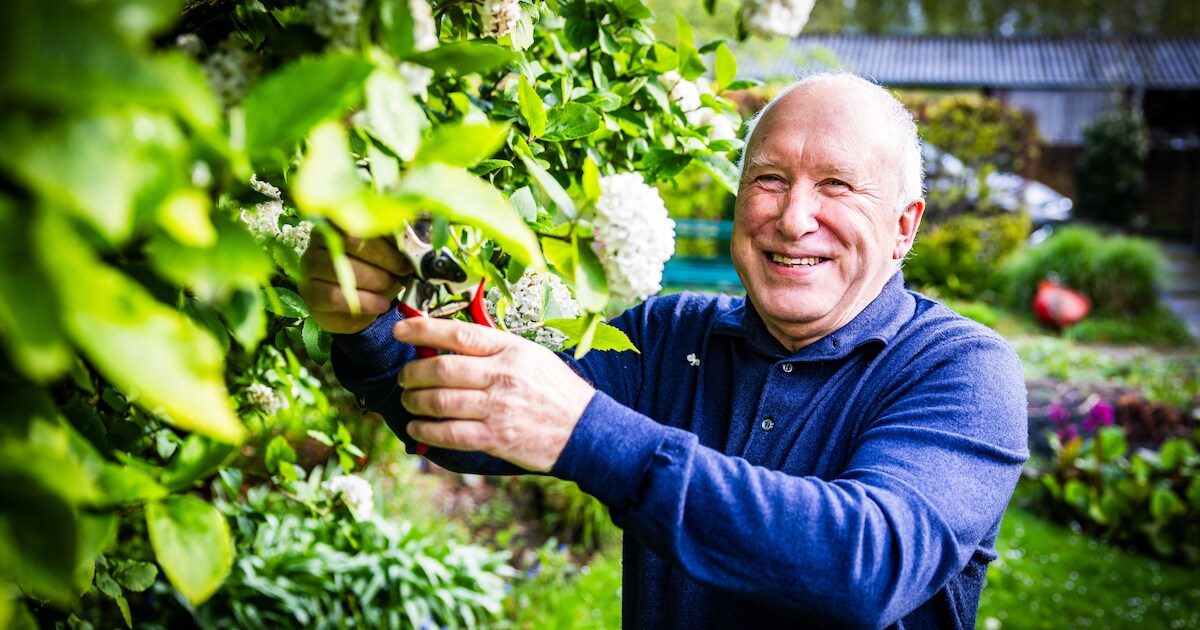 Oud-wethouder Hans gedijt ook goed in de luwte: ‘Ik lees nu ’s ochtends ...