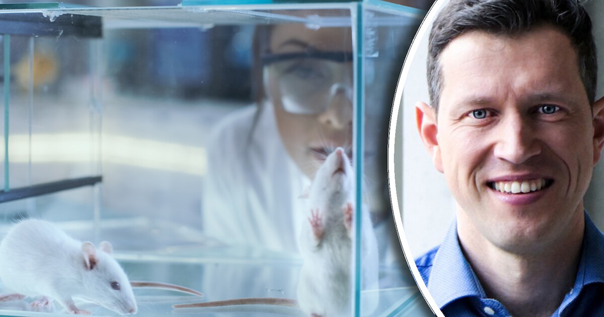 Nieuw dierproefbeleid in Utrecht: ‘Als je niet met proefdieren kan ...