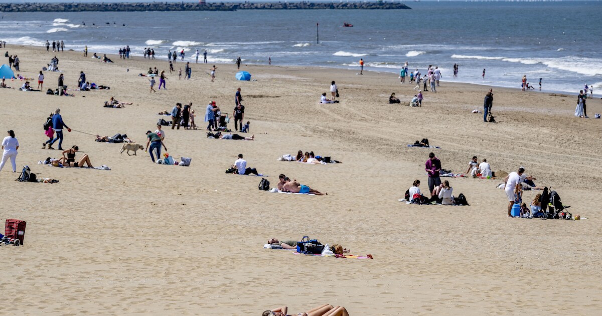 Maak het strand schoon en je mag gratis naar Sea Life | Den Haag | AD.nl