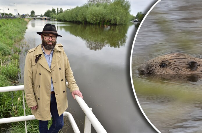 Jos ziet tijdens hardlopen groot harig beest zwemmen: ‘Ik sta liever ...