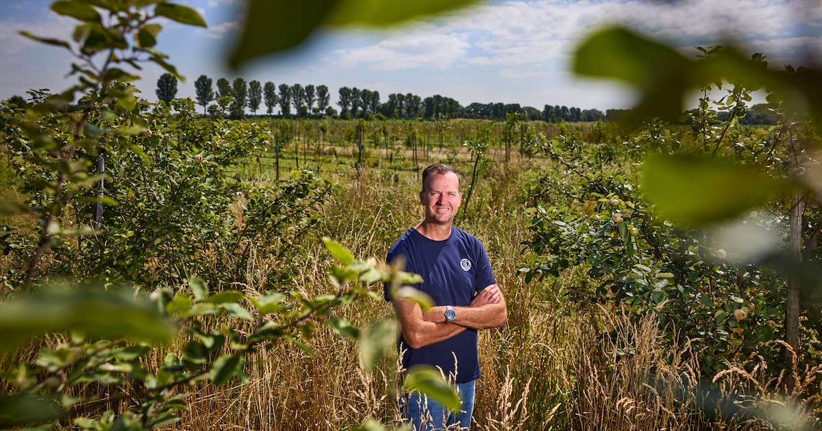 Zelfpluktuin, boomgaard én vakantiehuisjes: vanuit heel Europa komen ...