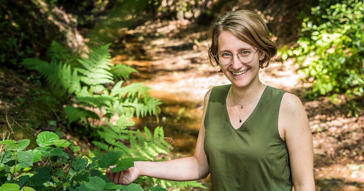 Waar is de autochtone boom? Landschap Overijssel zoekt het uit ...