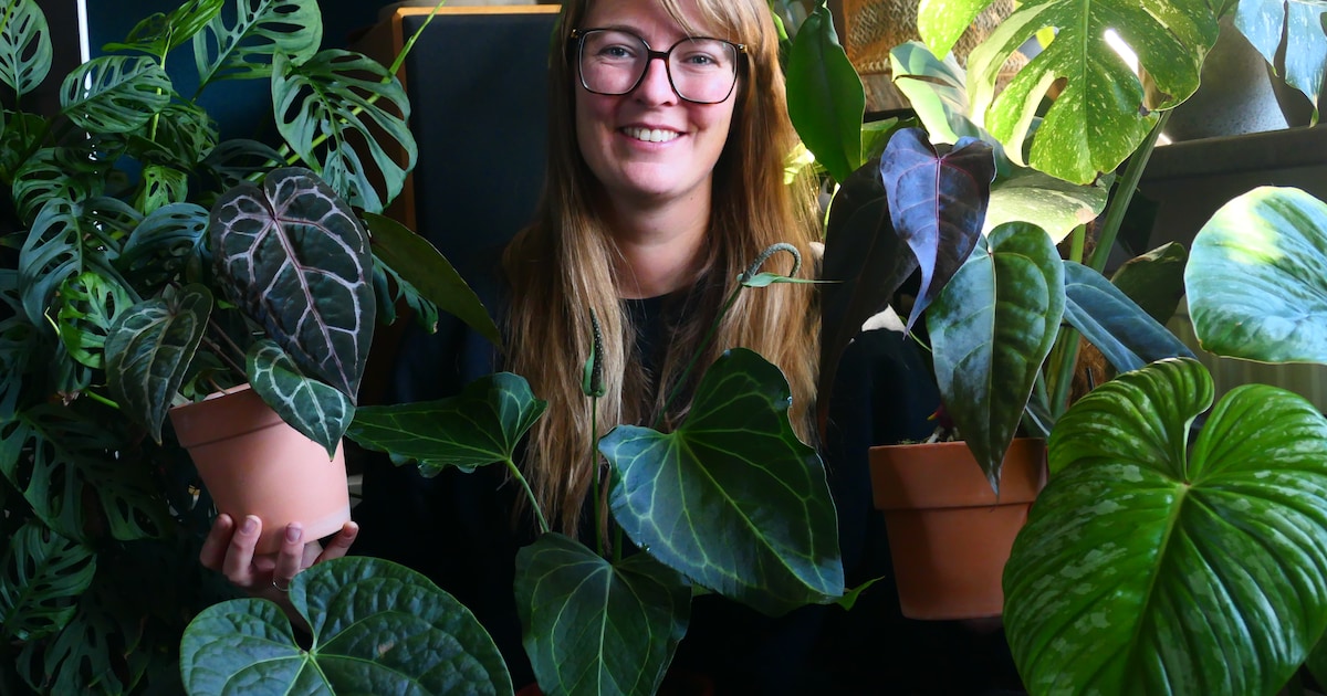 Ondanks 400 kamerplanten is de collectie van Stephanie nog steeds niet ...