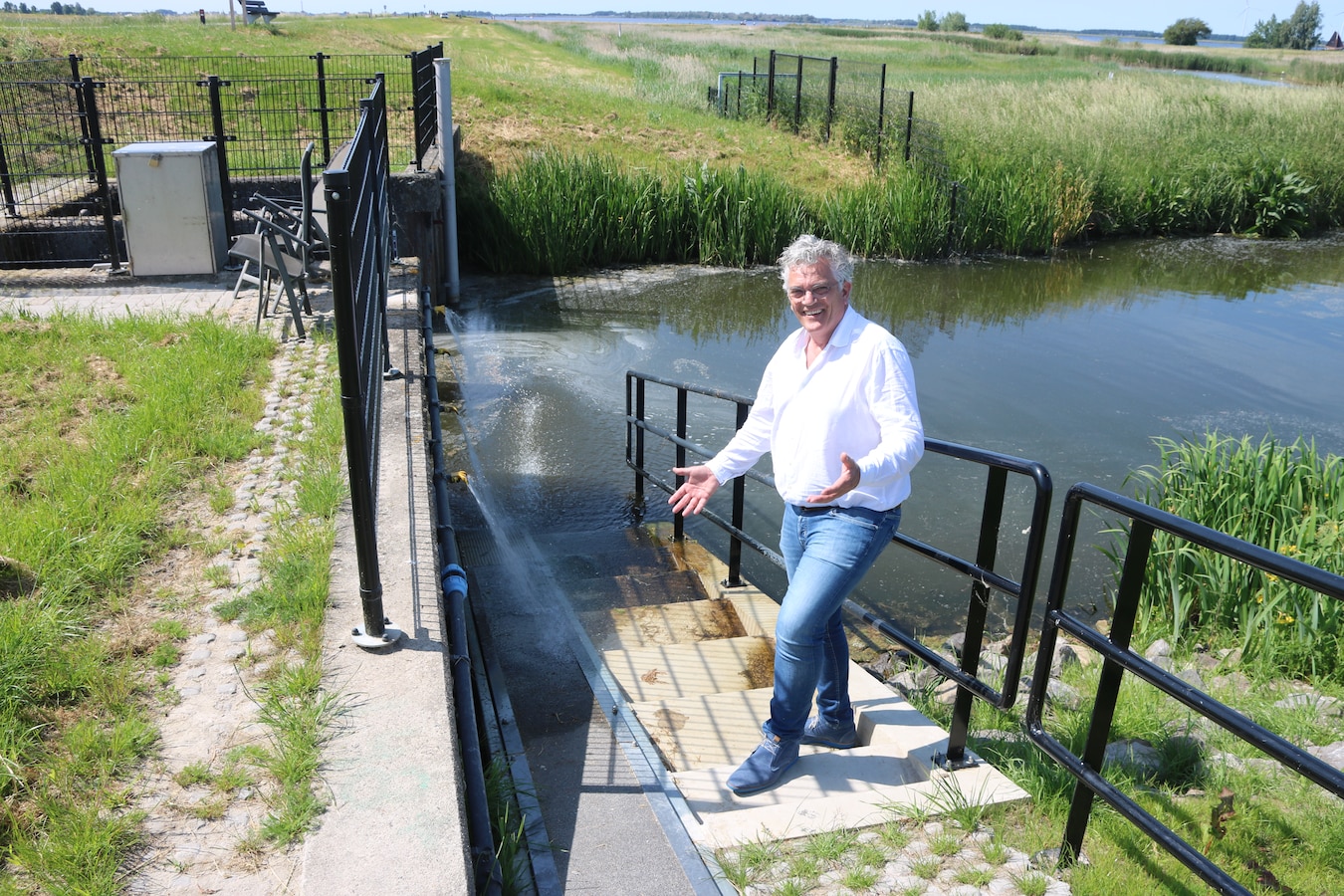 Van Sargassozee tot boerensloot, paling vindt via dit laddertje de weg ...