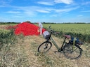 Berg rode paprika’s zorgt voor woede op Facebook, maar boer blijft ...