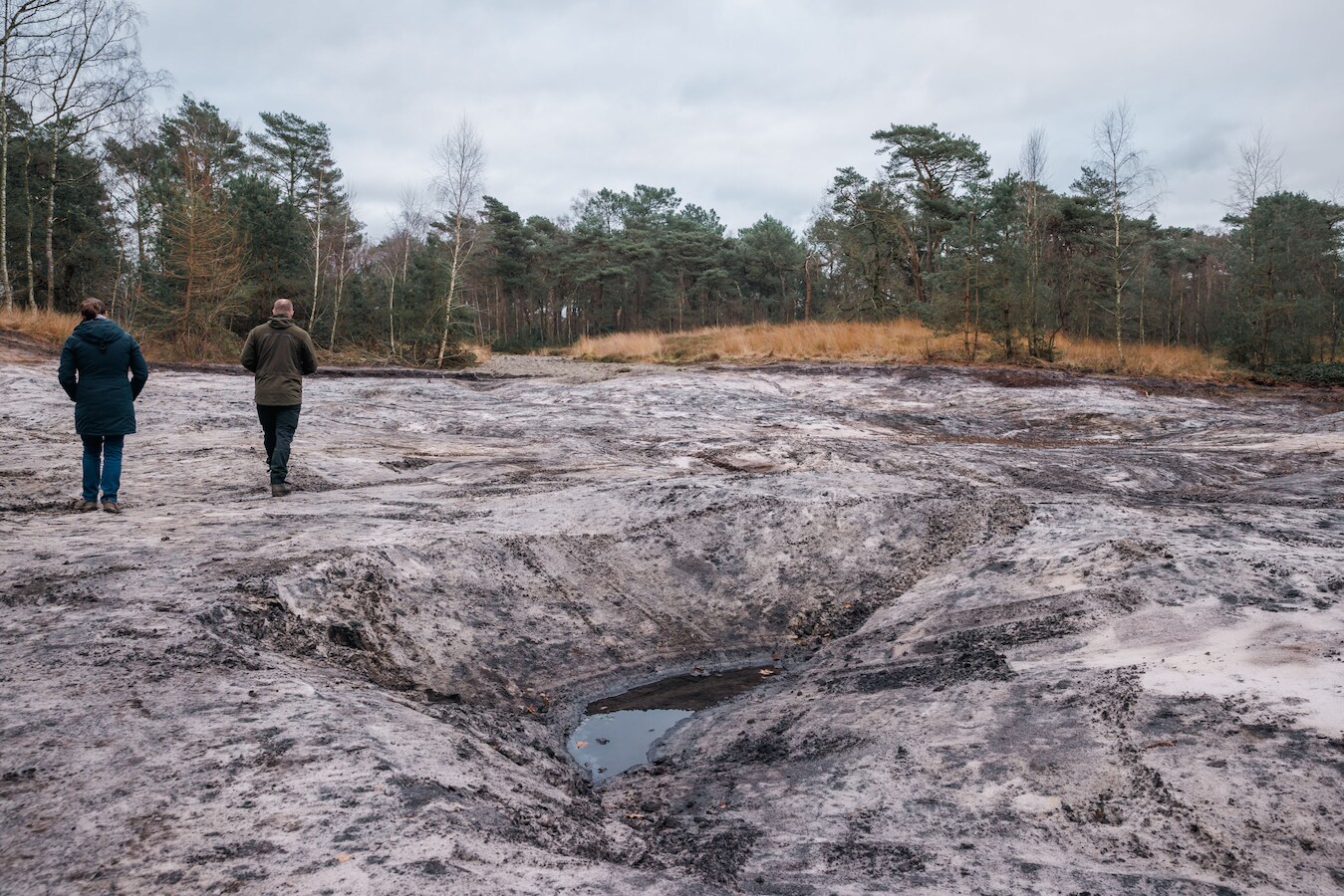 Natte weilanden en tóch verdroogt Nederland: de verborgen watercrisis ...