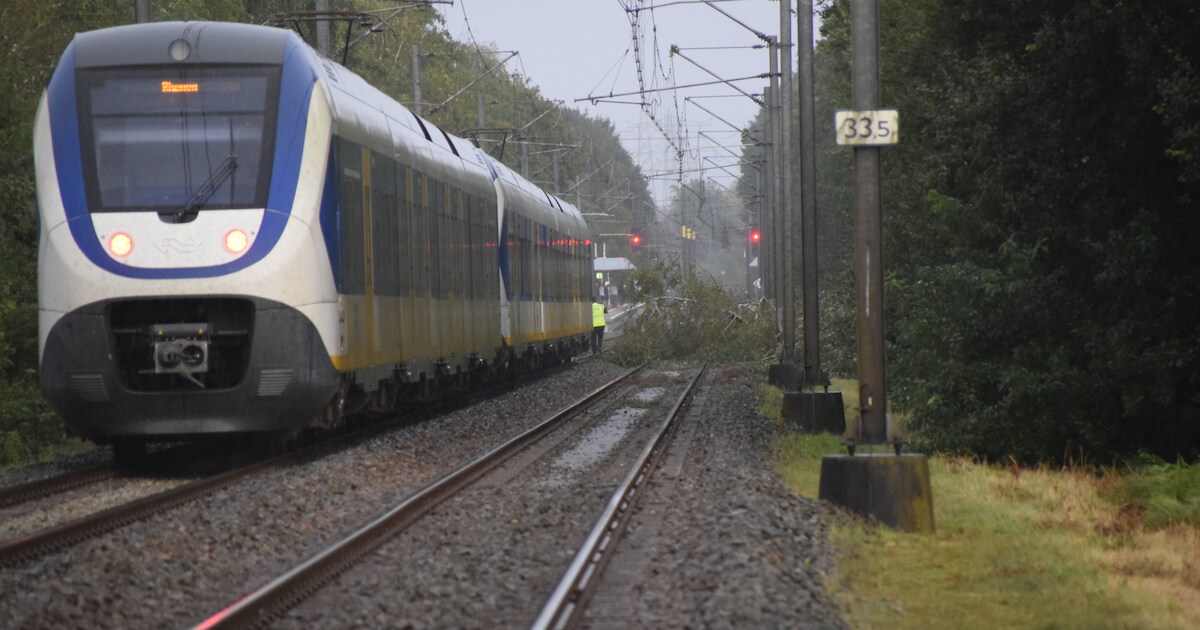 Grote boom belandt op het spoor in Veenendaal, treinverkeer kort ...