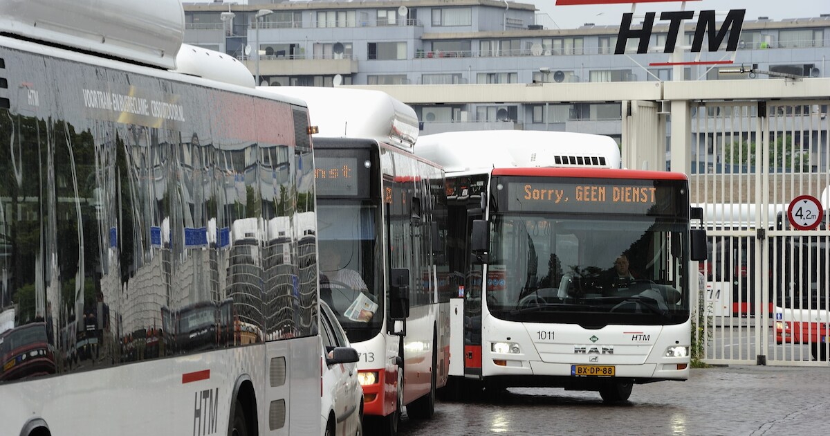 Reizigers positief over trams en bussen van HTM | Den Haag | AD.nl