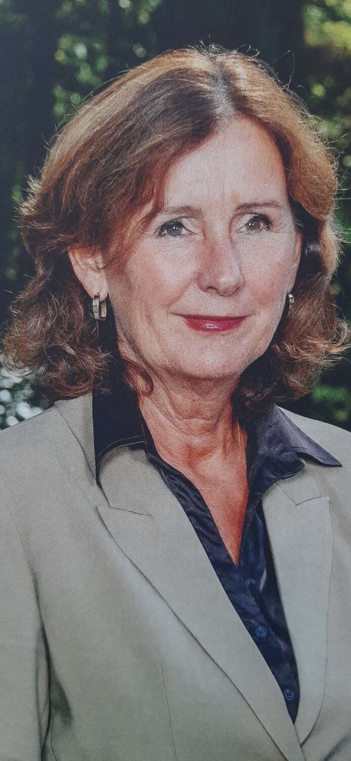 Vincent Schouten (58) gaat GGZ WNB tijdelijk leiden | Bergen op Zoom | AD.nl