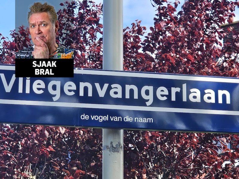 Rook van brand Veluwe ook te ruiken in regio Haaglanden: ‘Zet ...