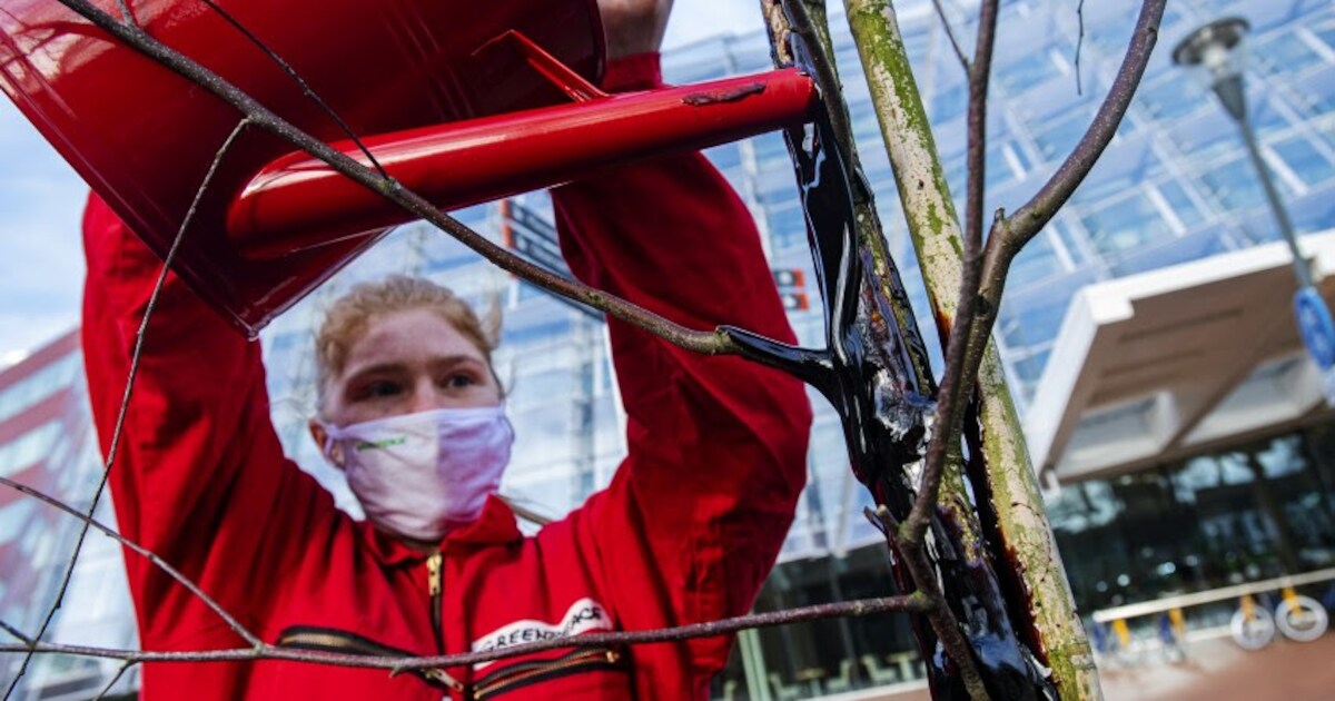 Vijf miljoen bomen dankzij Shell? Liever niet, zegt Utrechtse politiek ...