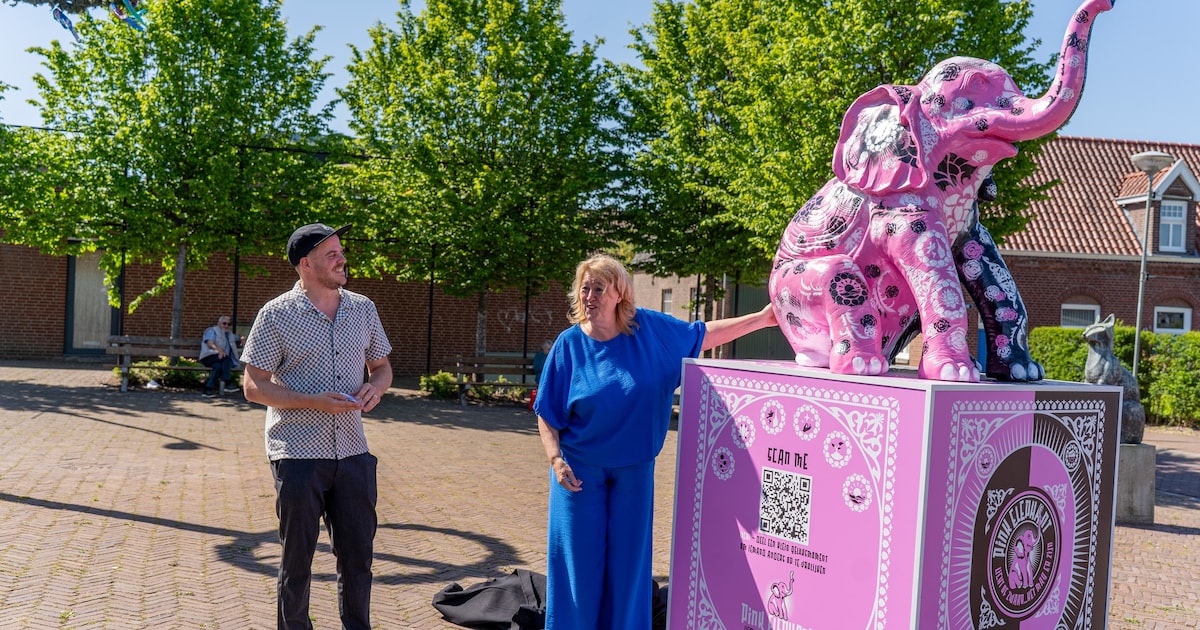 Roermond onthult kunstwerk Pink Elephant en start podcast voor mentale ...
