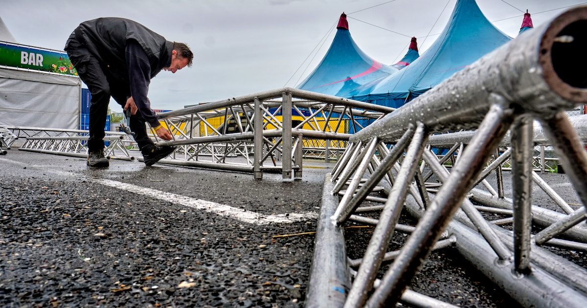 Lammetjeswiel Festival eindelijk klaar voor tweede editie: ‘Oei, wat ...