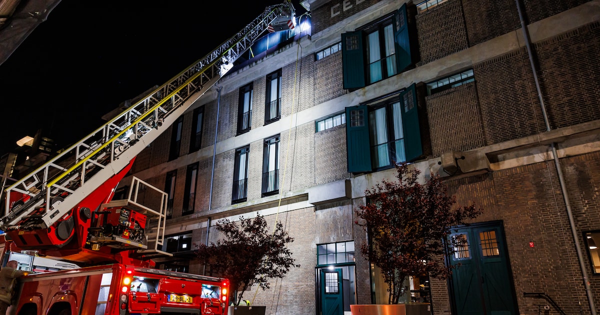 Veel schade in Room Mate-hotel na brand in plantenbak met ‘gortdroge ...