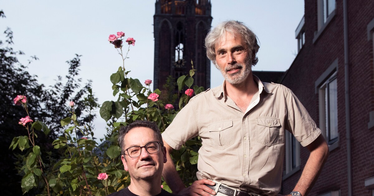 Horendol van carillon Domtoren | Regio | AD.nl