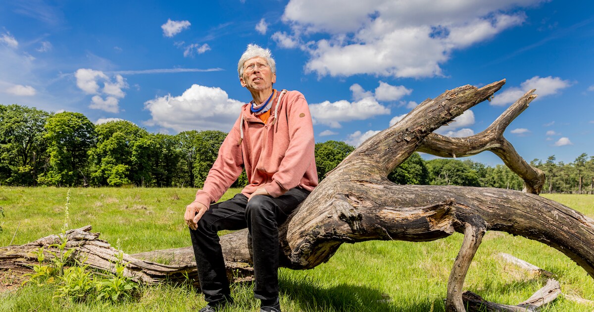 Kabinet Schoof gewaarschuwd voor ‘tsunami aan rechtszaken’ over ...