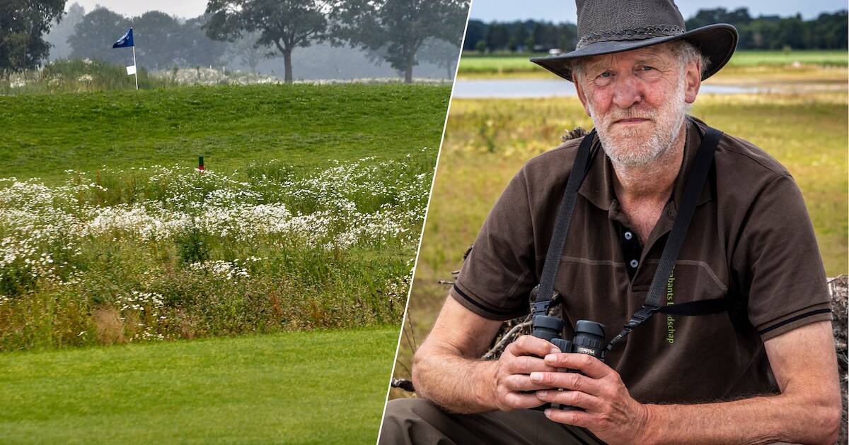 Golfbaan of natuurgebied? Dit landgoed in Asten-Heusden laat zien dat ...