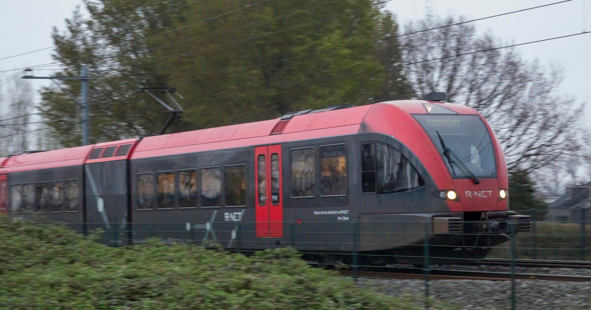 Omgewaaide boom blokkeert treinverkeer tussen Gorinchem en Leerdam ...