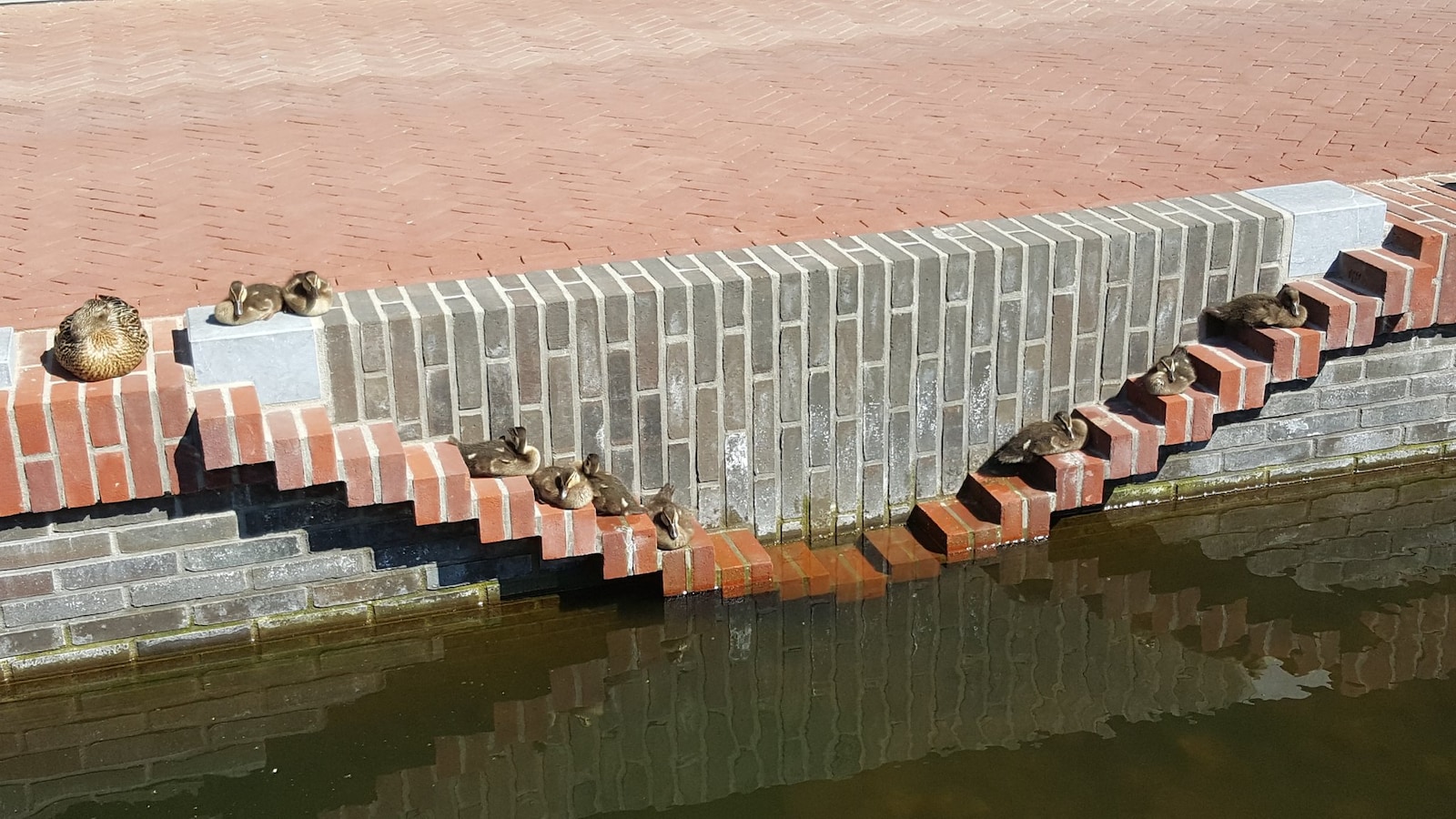 Chantal zoekt dagenlang naar Gijs, dan komt het appje: ‘Ik zie een ...