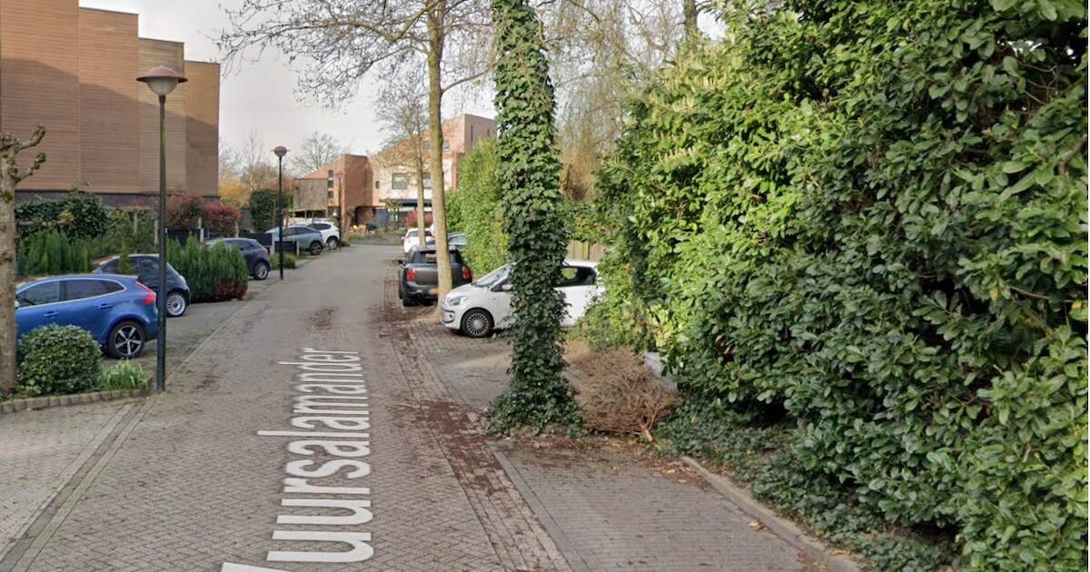 In één straat in Amersfoort worden 26 bomen gekapt na klachten uit ...