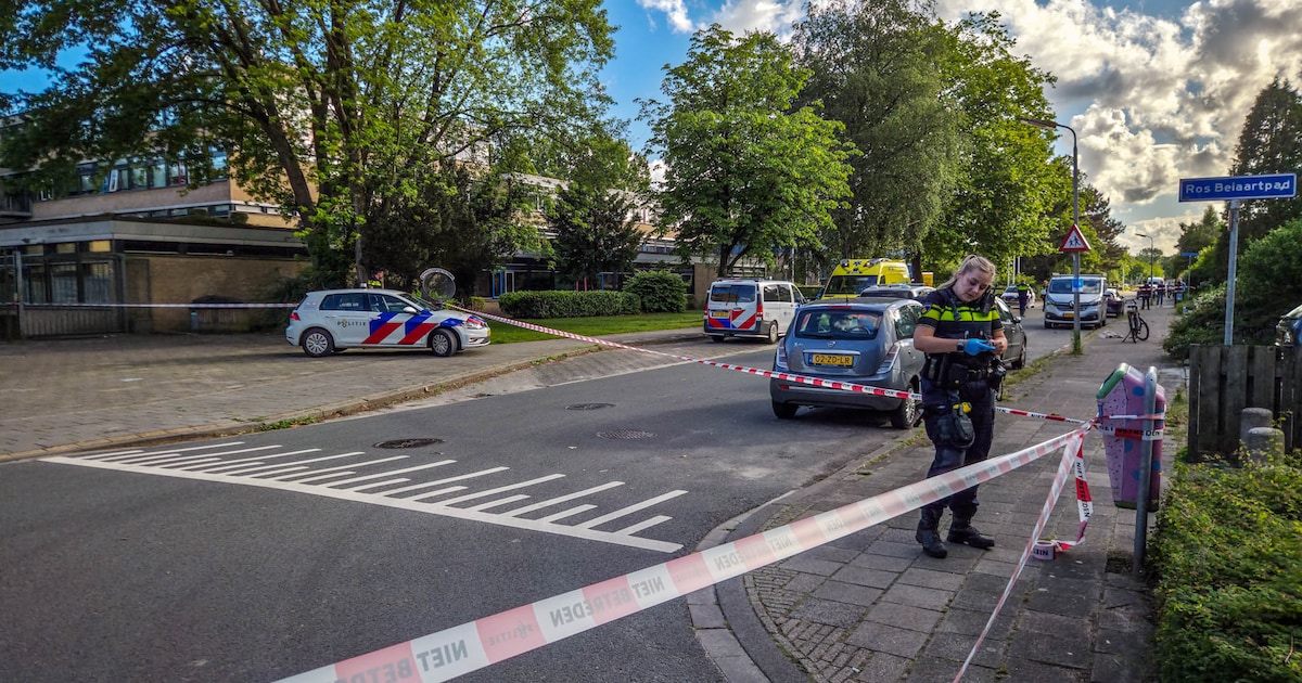 Gewonde bij steekpartij in Schothorst: politie zoekt drie mannen met ...