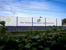 Utrechtse Heuvelrug | AD.nl