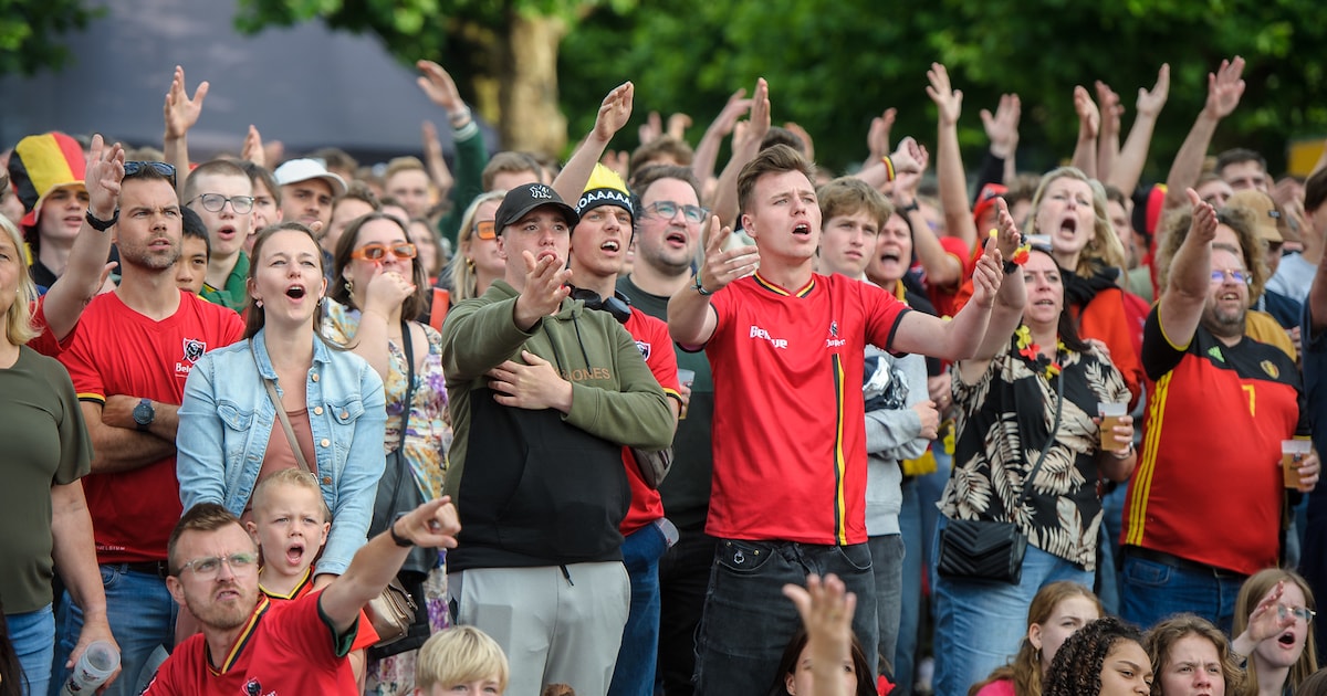 Tous ensemble! Hier kan je in Limburg op groot scherm supporteren voor ...