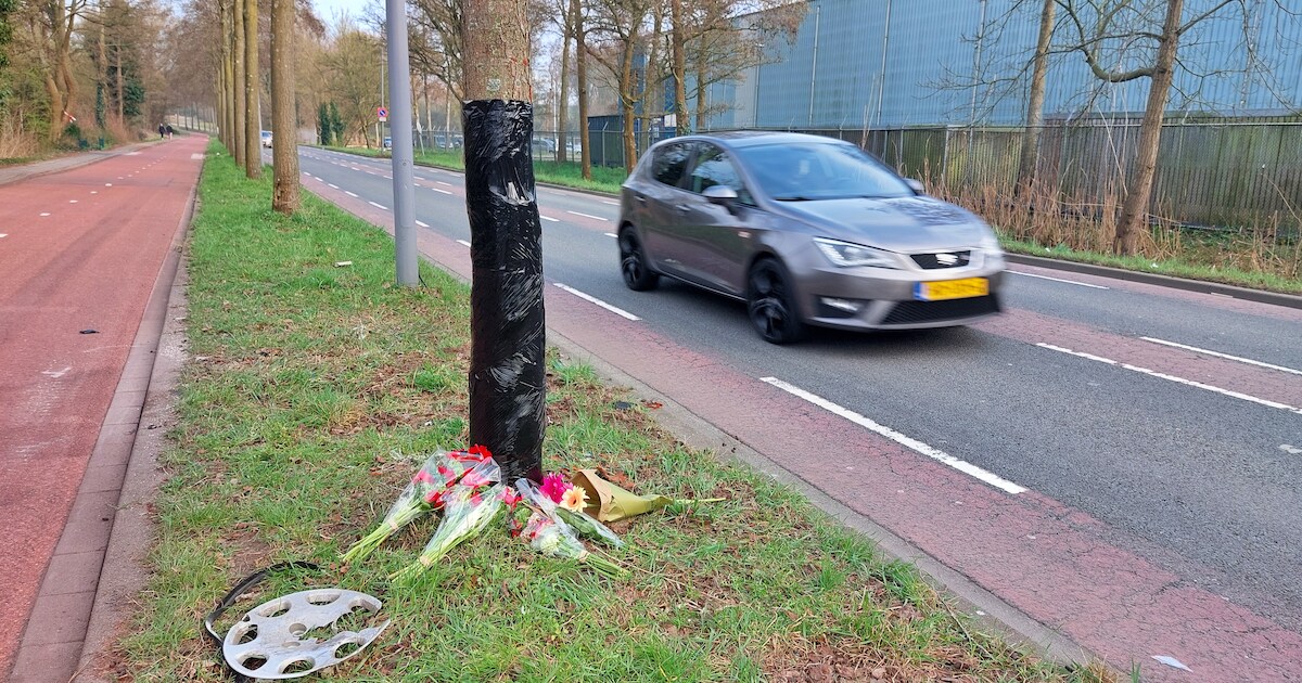 Bloemen op plek waar Rotterdamse (33) overleed na ernstig ongeval, automobilist (18) aangehouden ...