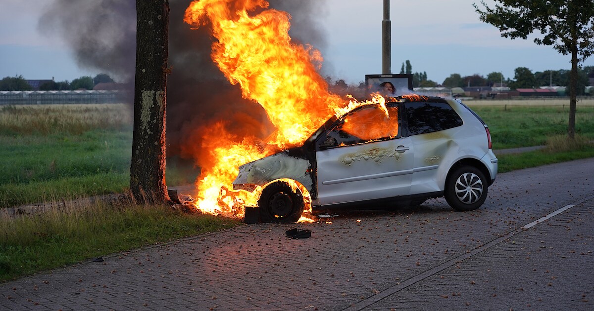 Auto vliegt in brand nadat bestuurder onder invloed tegen boom rijdt in ...