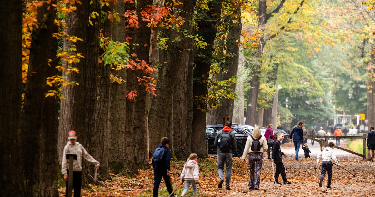 Rustige Doodgewone Wandeling biedt ruimte voor rouw en bezinning ...